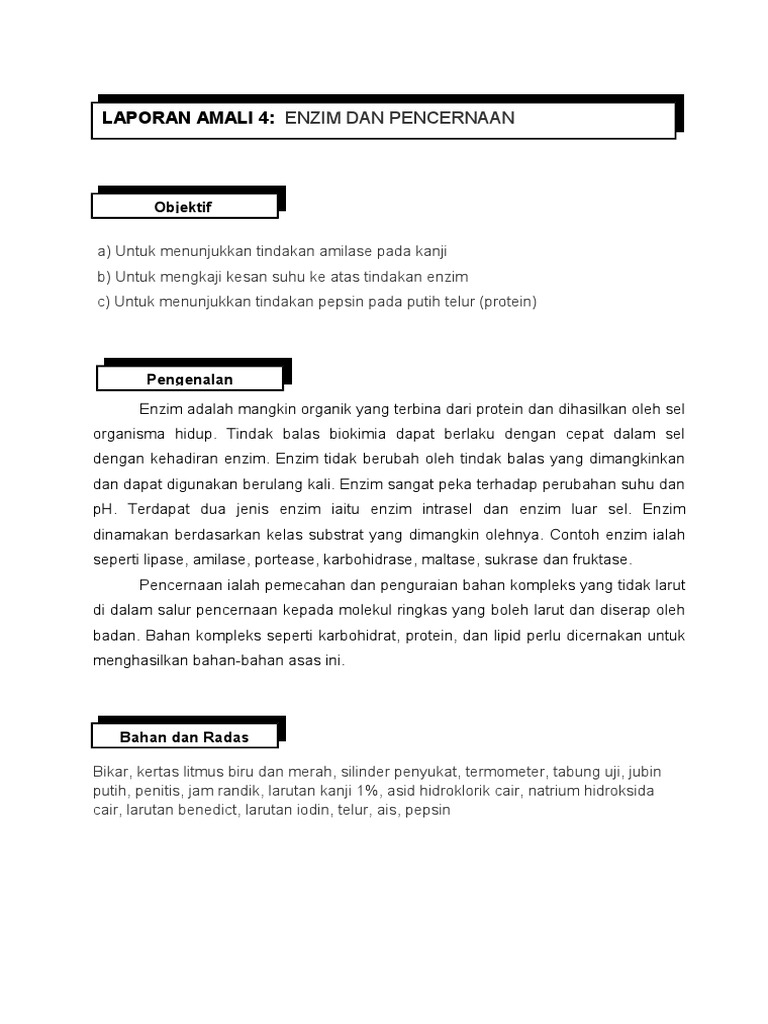 Laporan Amali 4 | PDF