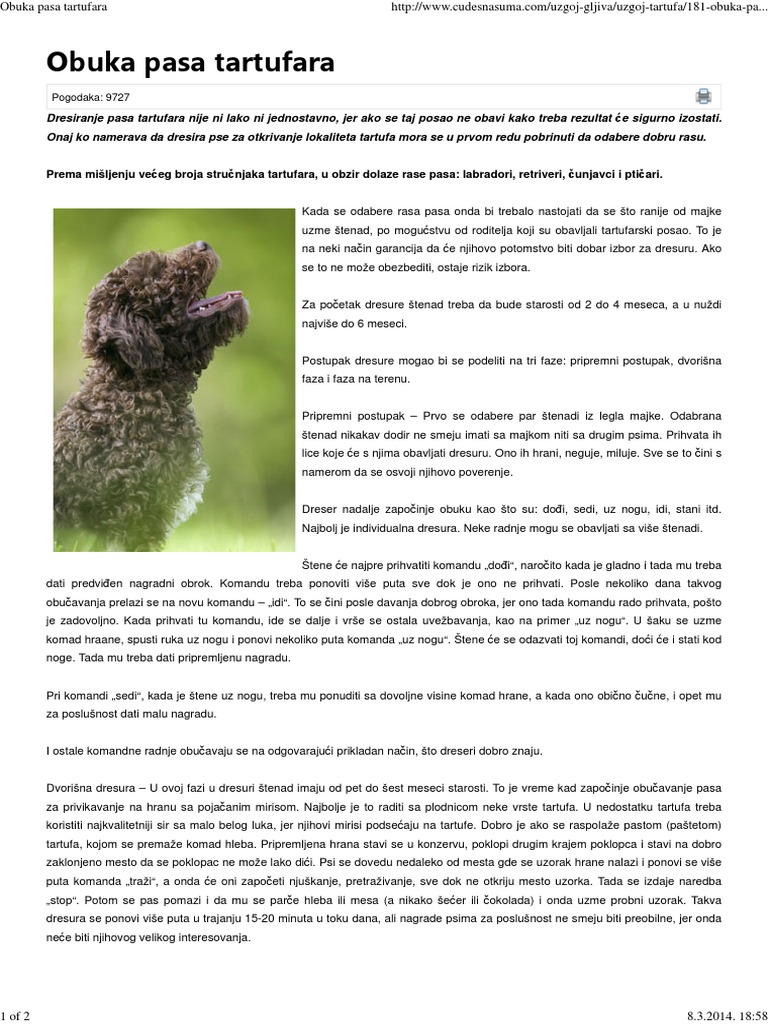 Obuka Pasa Tartufara | PDF