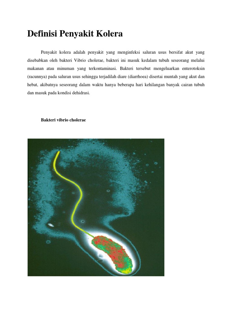 Definisi Penyakit Kolera | PDF