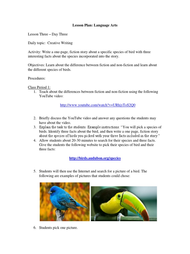 Creative Writing Lesson on Birds | PDF | Lesson Plan | Learning