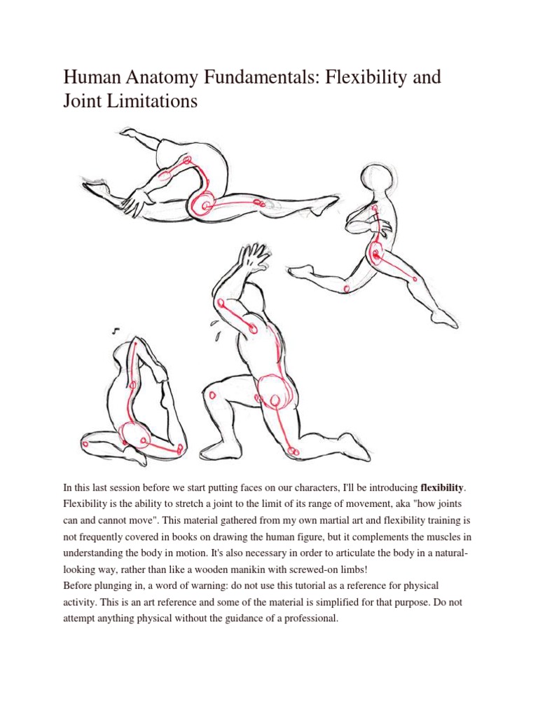 Anatomy Flexibility and Joint Limitations | Anatomical Terms Of Motion ...