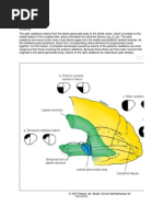 Oxford Stroke Classification: Also Known As Bamford Classification ...