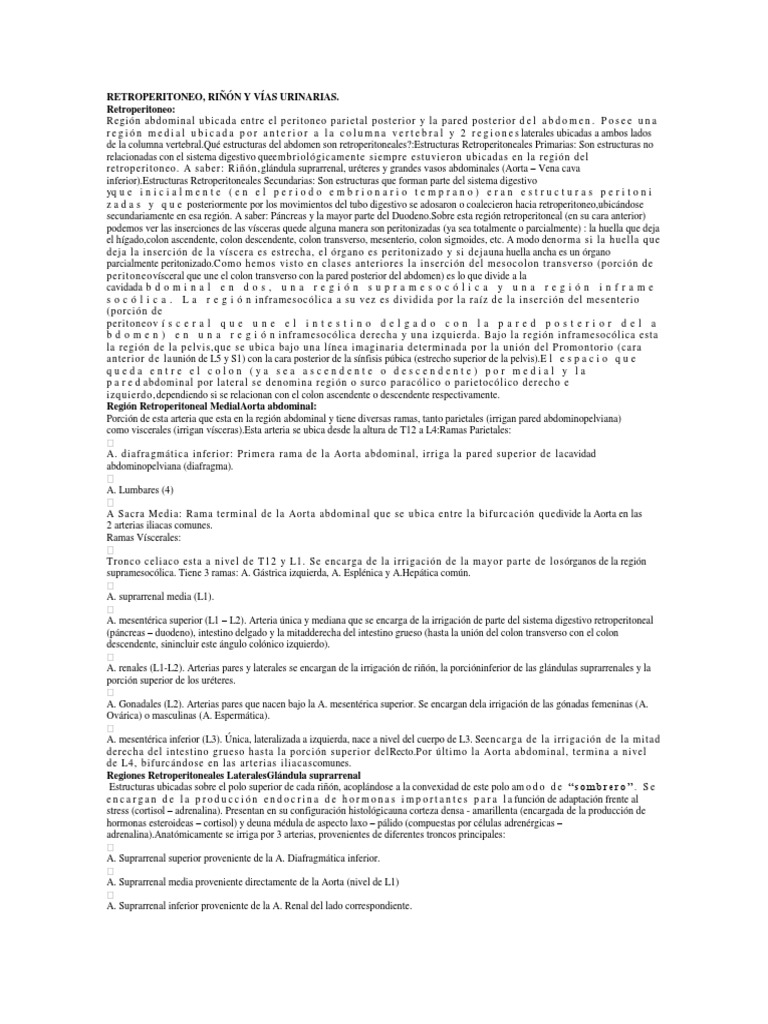 Estructuras del Retroperitoneo y Riñones | PDF | Abdomen | Intestino grueso