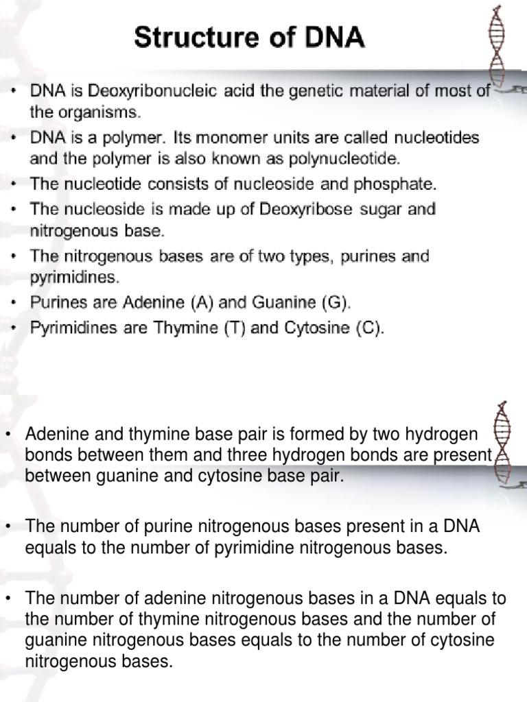 Dna Assignment 2 | PDF | Dna Replication | Dna