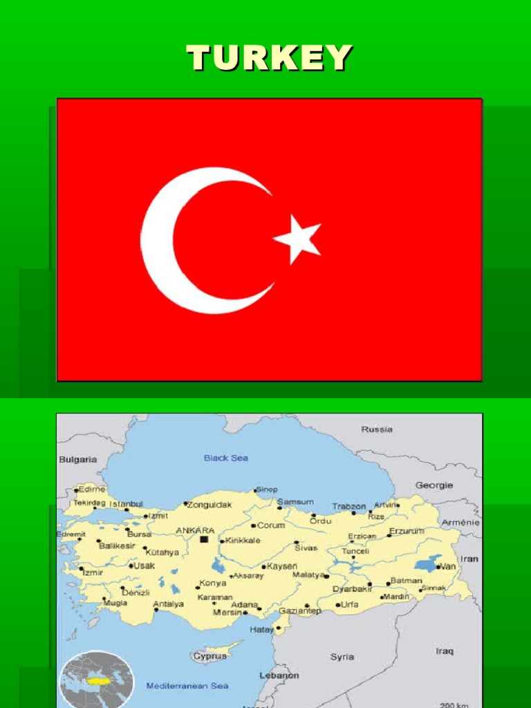 Music and Sports in Turkey | PDF | Social Science | Art