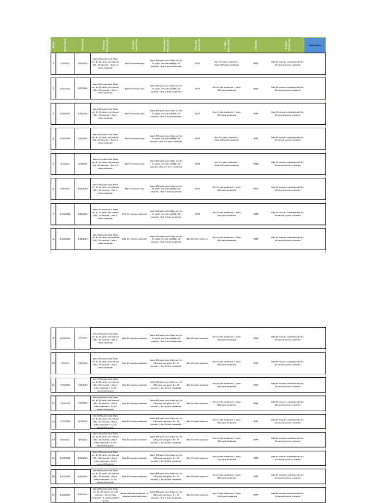 Ironman 70.3 Training Plan | PDF | Ironman Triathlon | Uci Pro Tour