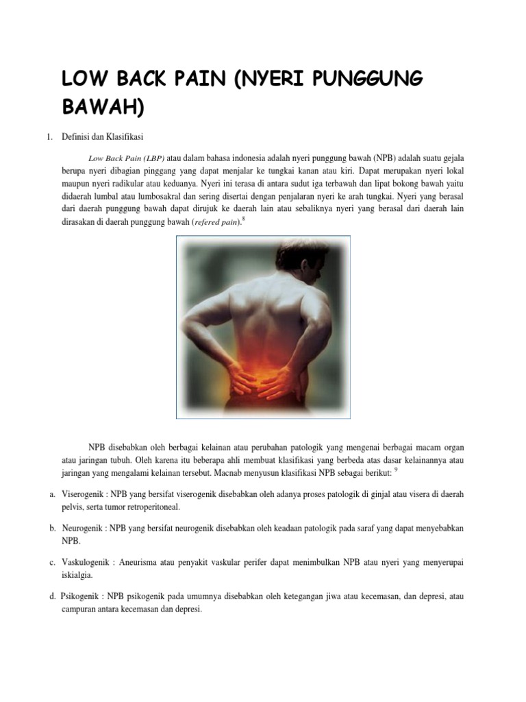 Low Back Pain | PDF