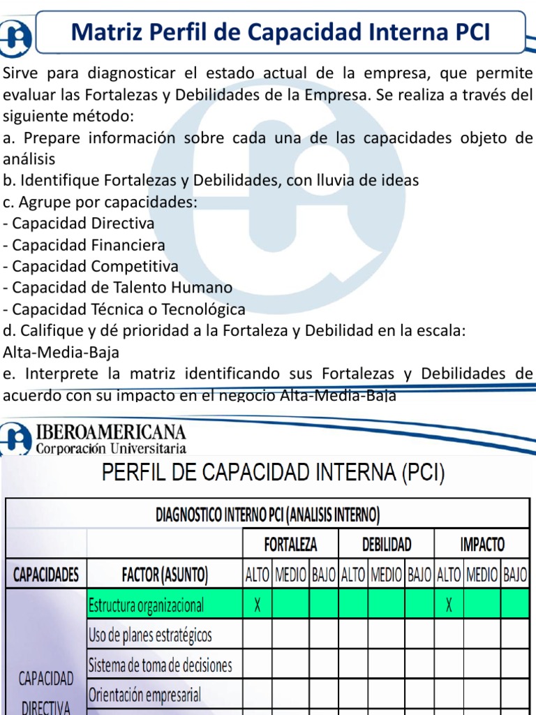 Matriz EFI | PDF