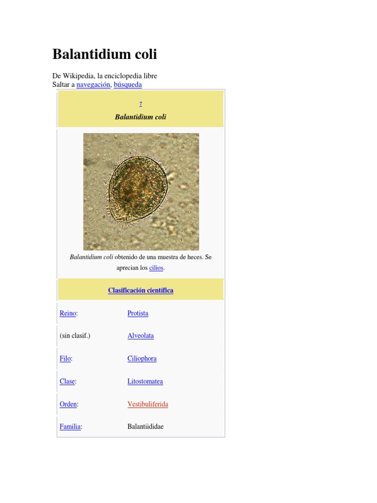 Balantidium Coli | PDF | Epidemiología | Medicina CLINICA