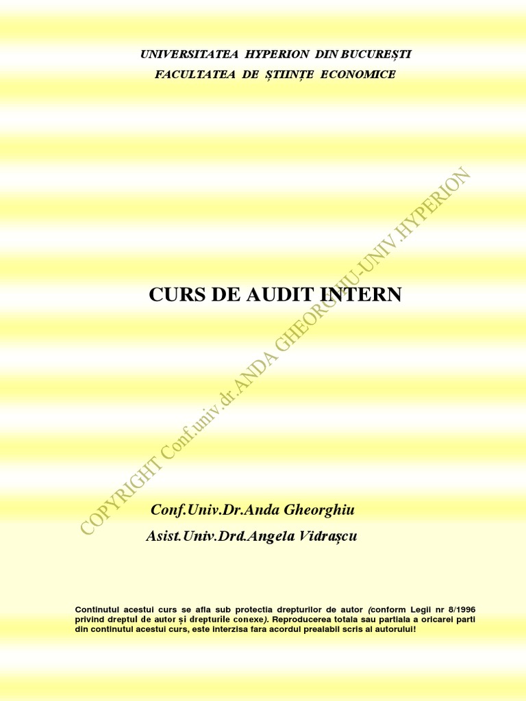 Audit Intern | PDF Audit Intern | PDF