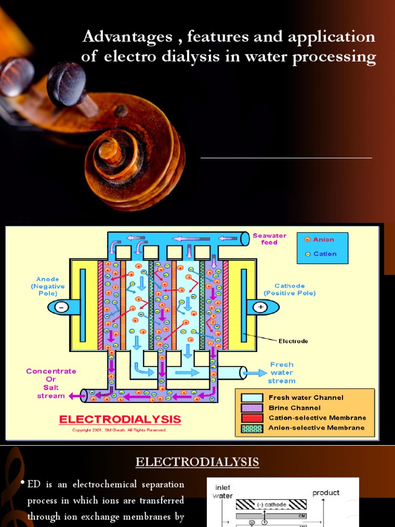 Electrodialysis 11 | PDF | Ion | Ion Exchange