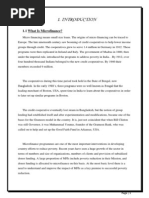 Purpose and Overview of BNI | PDF