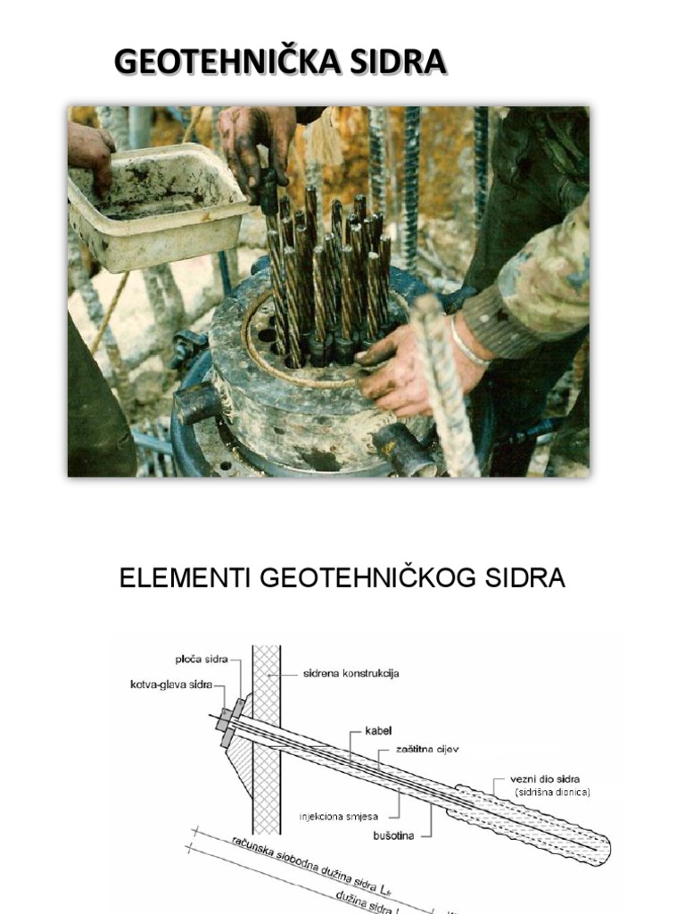 Sidra | PDF