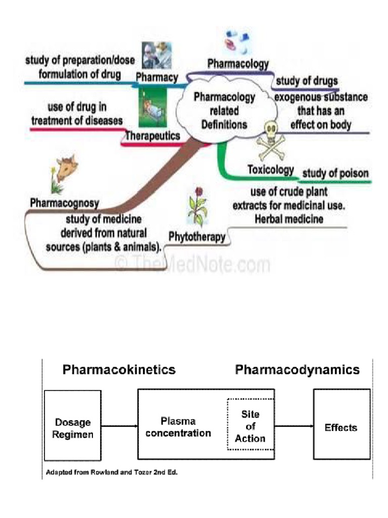 Pharmacodynamics Introduction | Receptor Antagonist | Ligand (Biochemistry)