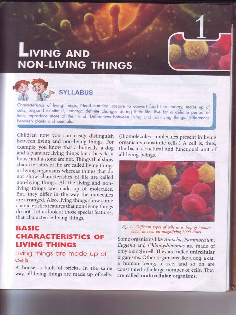 Characteristics of Living vs Non-Living | PDF | Respiratory System | Plants