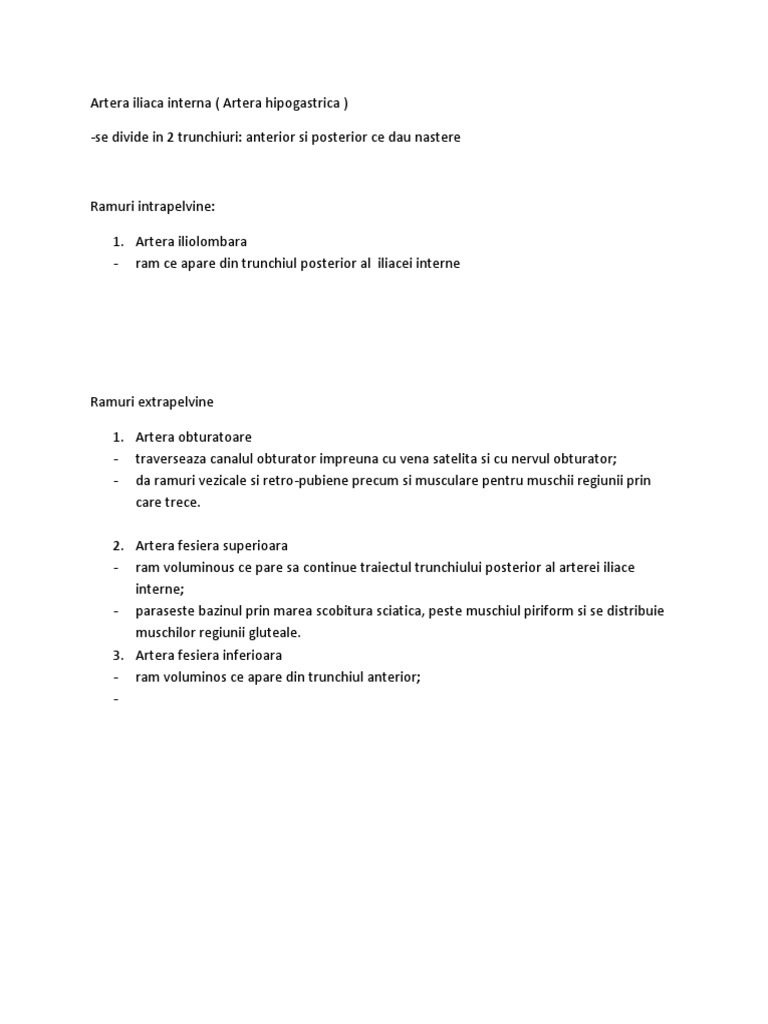 Artera Iliaca Interna | PDF