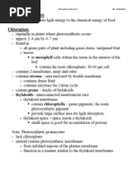 Ap Biology Review One Pagers | PDF