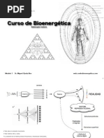 Manual de Dr Miguel Ojeda Rios BIO BIO | Magnetismo | Campo magnético ...