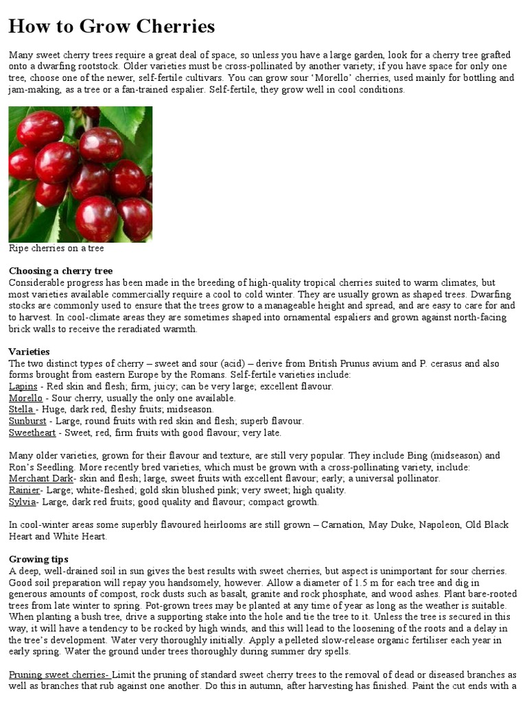 How To Grow Cherries | Download Free PDF | Cherry | Horticulture And ...