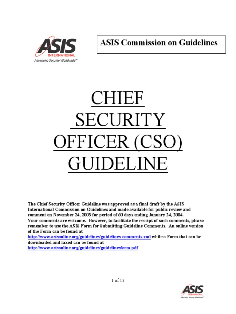 Chief Security Officer Guidelines | PDF | Information Security | Risk ...