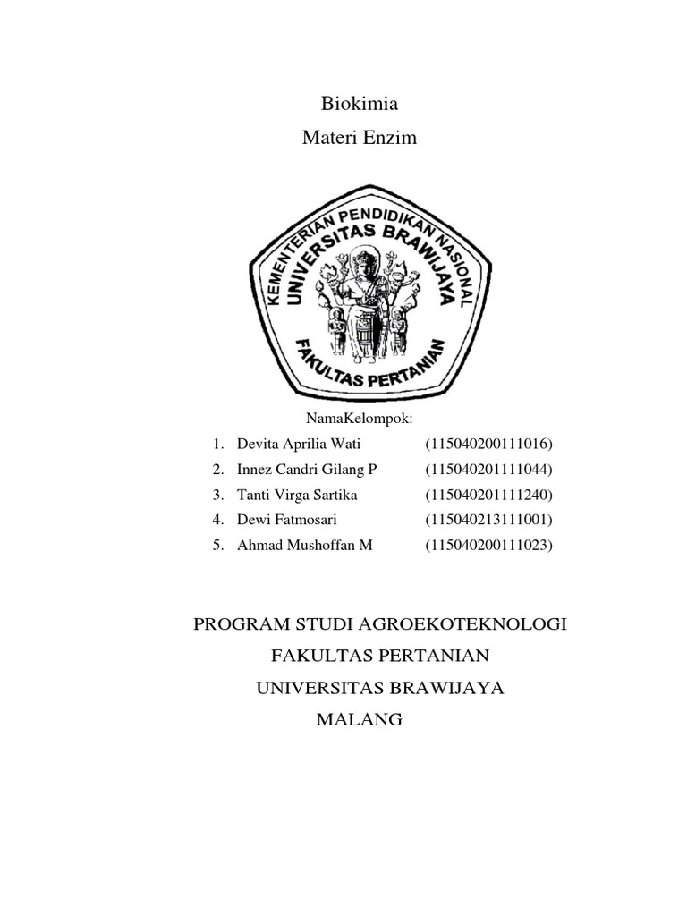 Makalah Biokimia Enzim | PDF