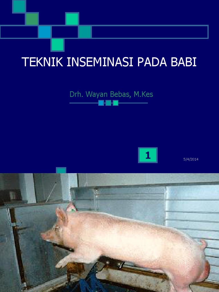 Teknik IB Babi | PDF