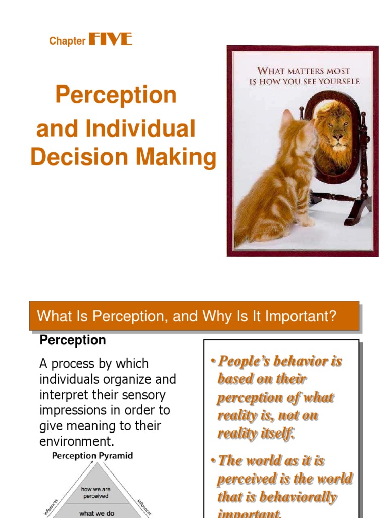 Perception and Individual Decision Making | PDF | Bias | Decision Making