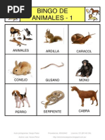 Bingo de Plantas para Niños | PDF