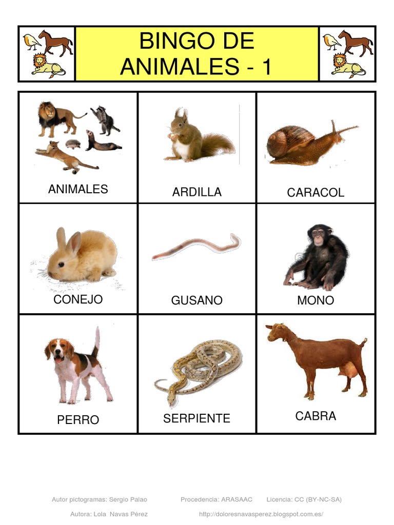 Bingo de Animales Fotos