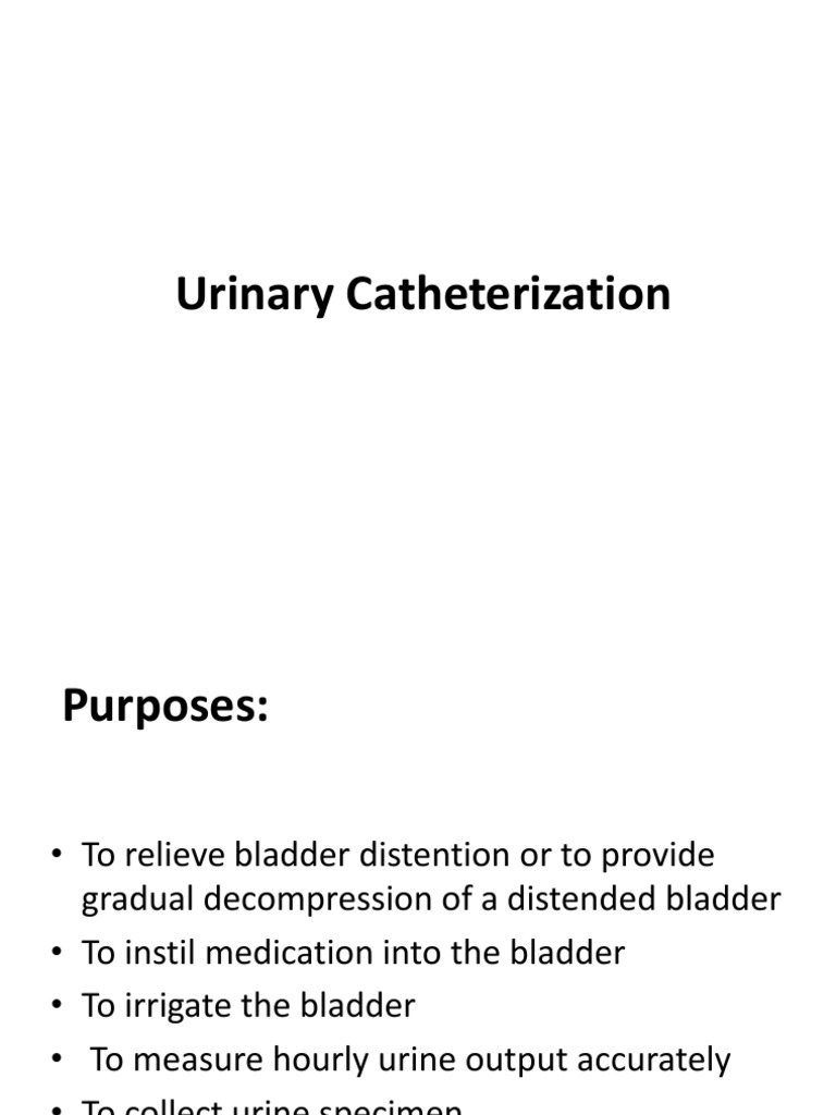 Catheterization | PDF | Urinary Incontinence | Urination