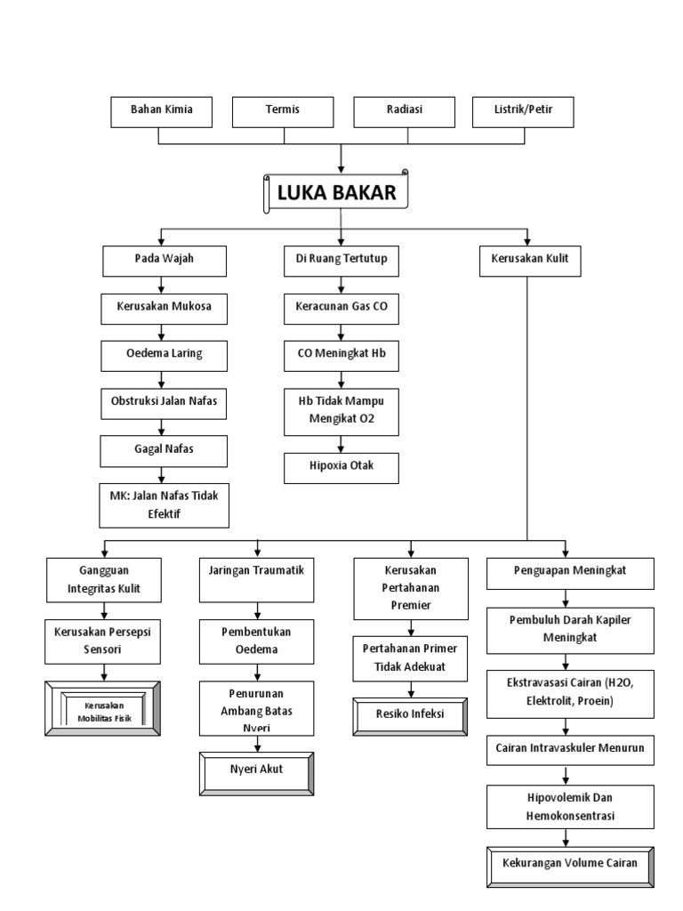 Pathway Combustio | PDF