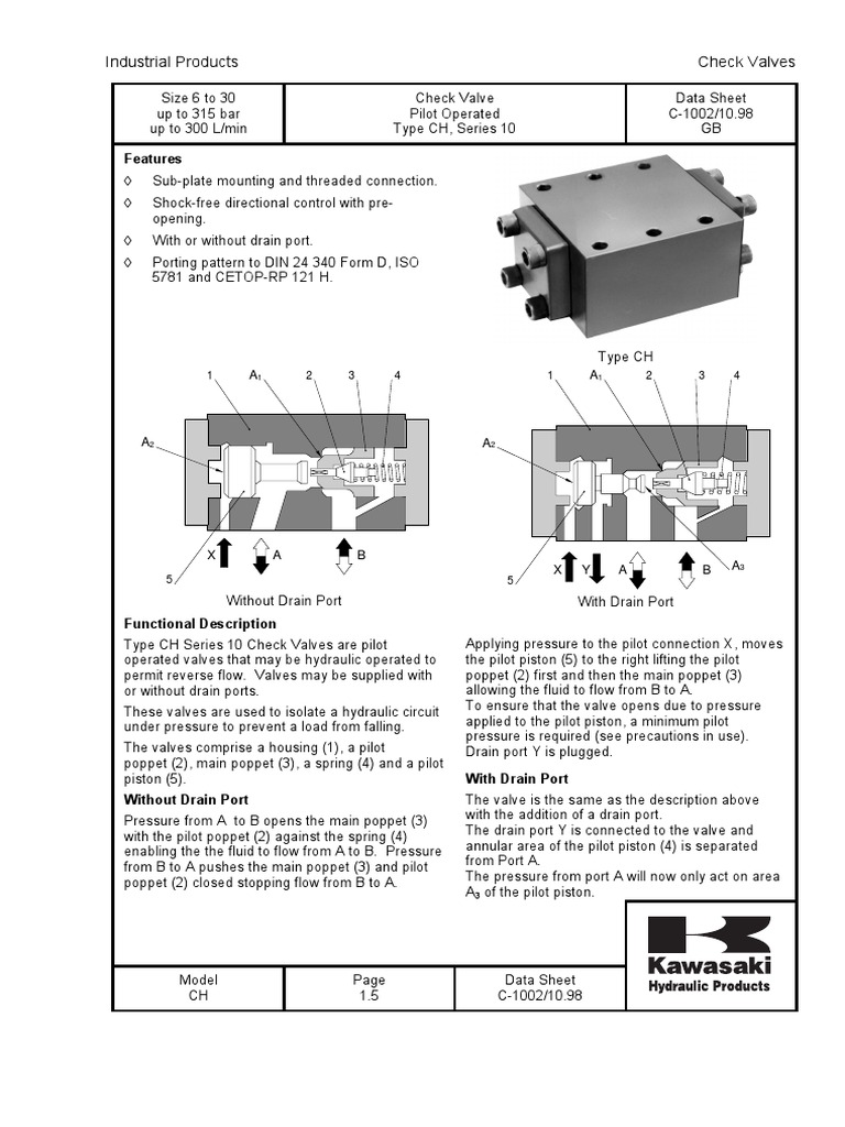 Check Valve Data Sheet | PDF | Valve | Piston