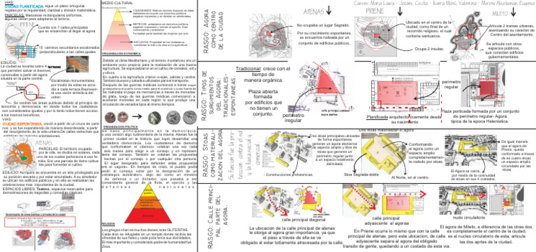 La organización social y económica de la polis griega: roles y ...