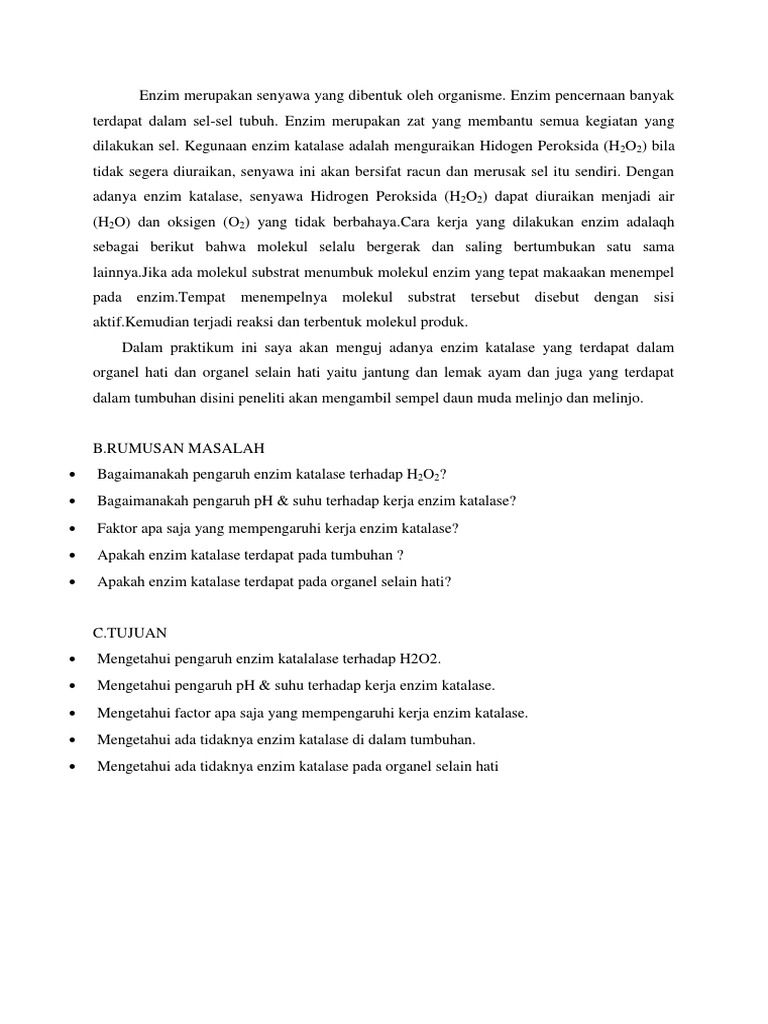 Percobaan Enzim Katalase | PDF