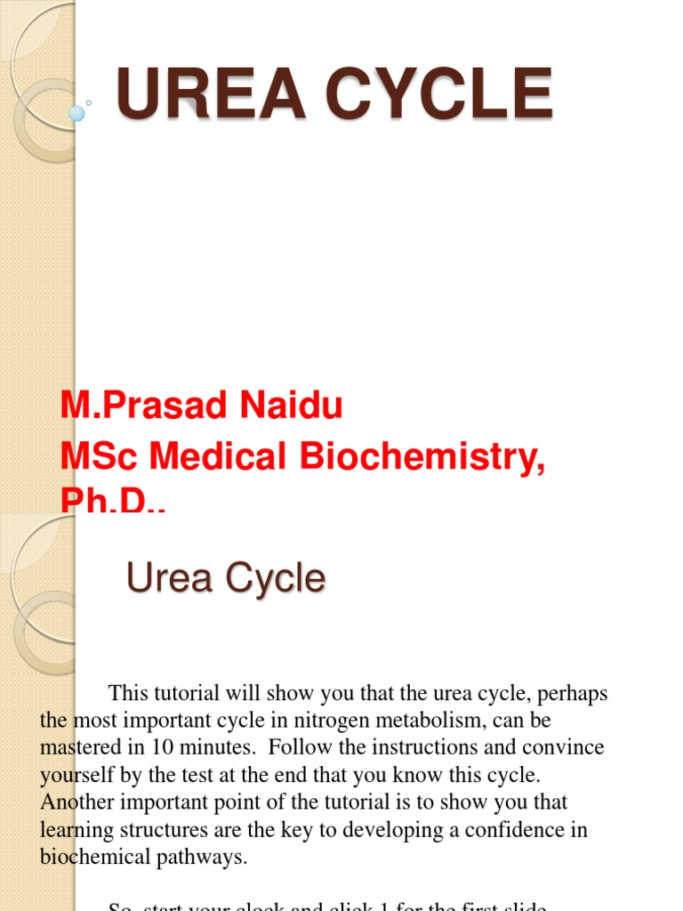Urea Cycle | PDF | Arginine | Biochemistry