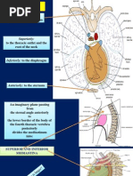 Anatomy of the Trunk Overview | PDF | Abdomen | Thorax