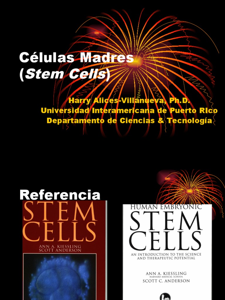 Células Madres : Stem Cells | PDF | Biological Processes | Cell Potency