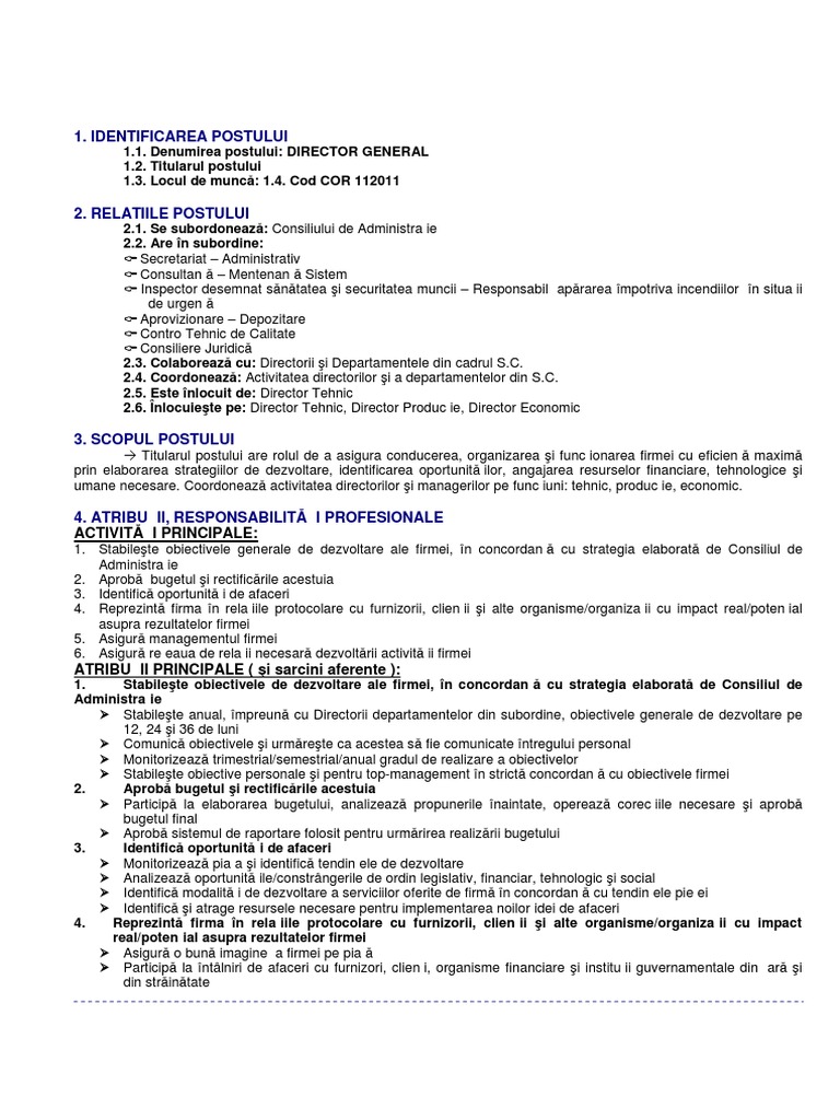 Fisa Postului Director General | PDF