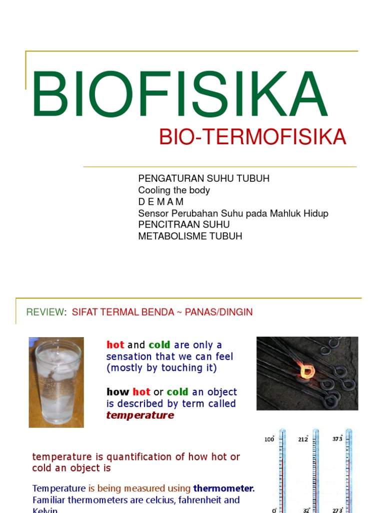 BIOFISIKA ~ Bio Termofisika | Thermal Conduction | Physical Sciences