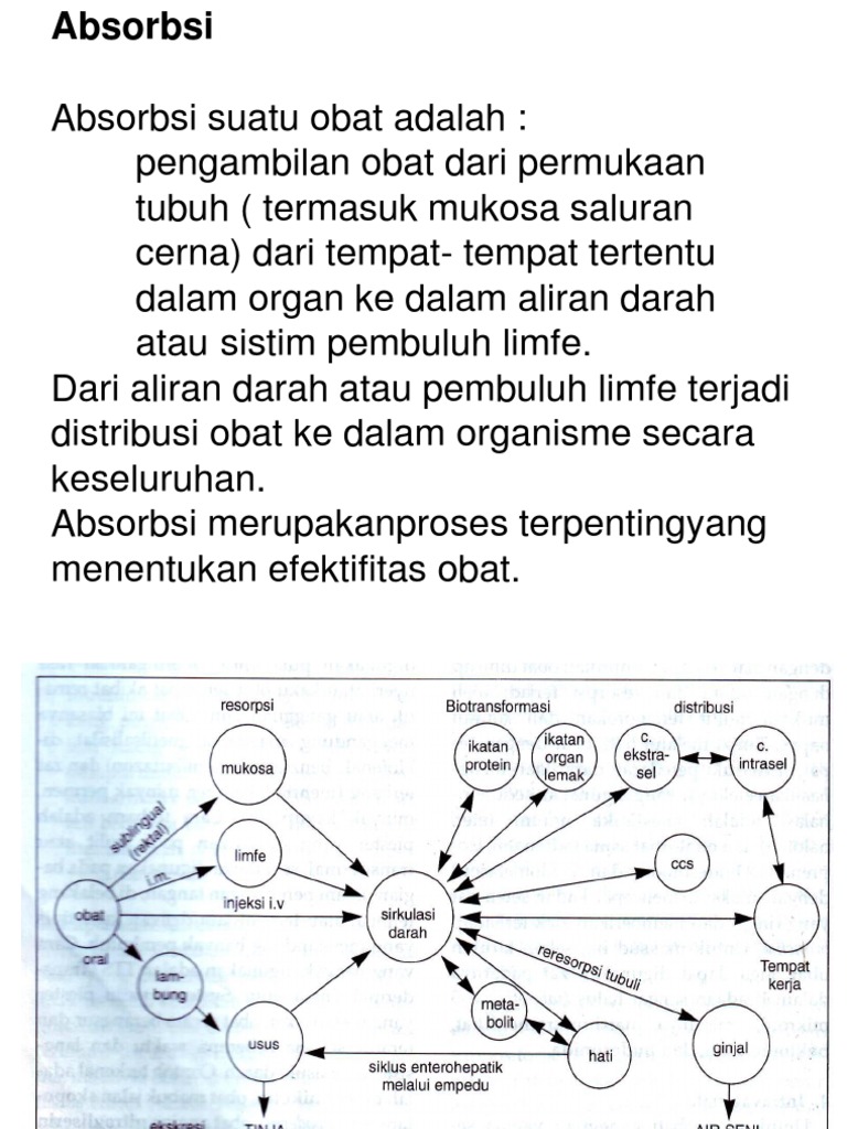 ABSORBSI | PDF | Pengembangan Diri | Sains & Matematika