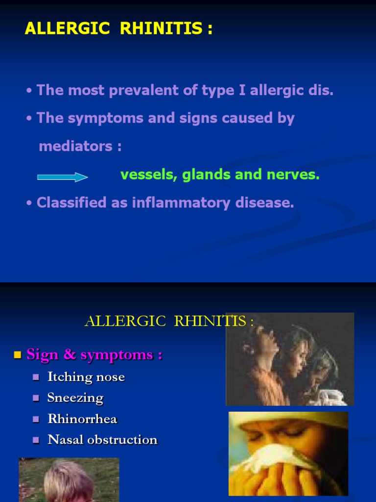 Rinitis Alergi Only DR - SPH 2 | PDF | Allergy | Allergen