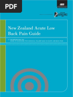 CORE Back Tool | PDF | Low Back Pain | Back Pain