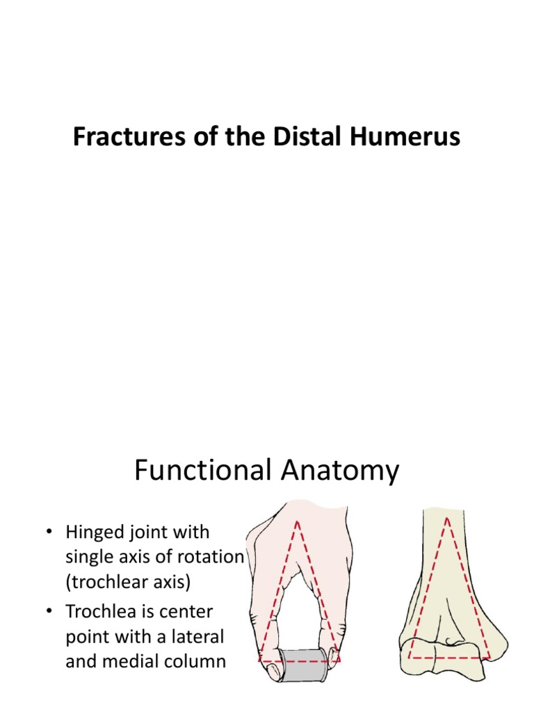 FR Distal Humerus | PDF | Elbow | Anatomical Terms Of Motion