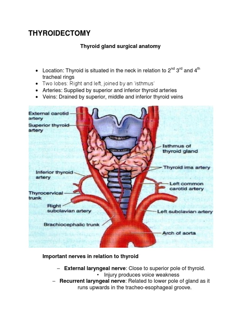 Anatomy and Technique of Thyroidectomy: A Comprehensive Guide to the Surgical Procedure and Post ...