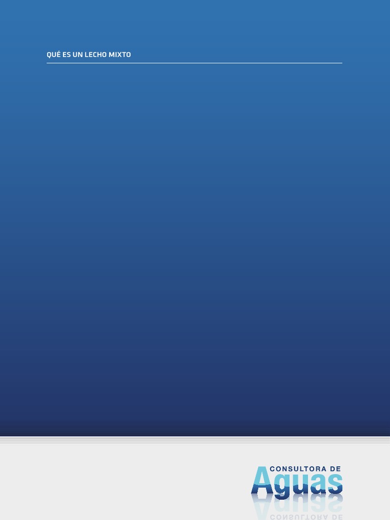 13 Que Es Un Lecho Mixto | PDF