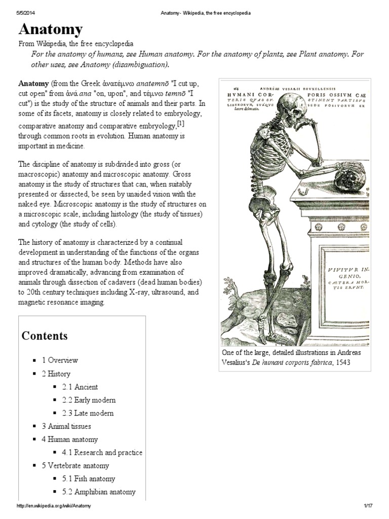Anatomy - Wikipedia, The Free Encyclopedia | PDF | Epithelium | Anatomy