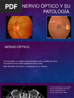 Anatomía y Patología de La Papila Óptica | PDF | Retina | Ojo humano