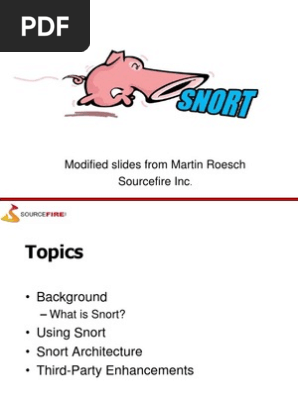 Sourcefire Snort