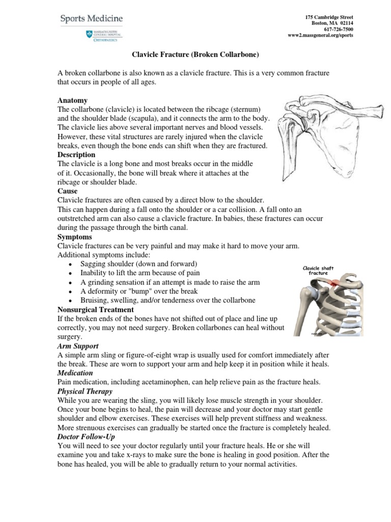 Ortho Services Sports Rehab Clavicle Fracture Protocol Non Surgical ...