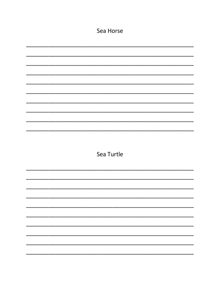 English Year 3 From The Sea Worksheet | PDF